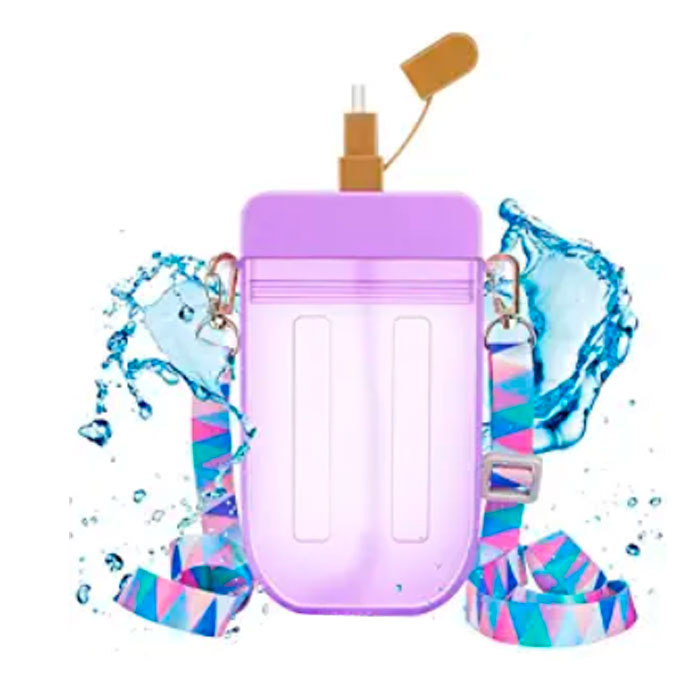 Botella paleta helado – Lonches Felices